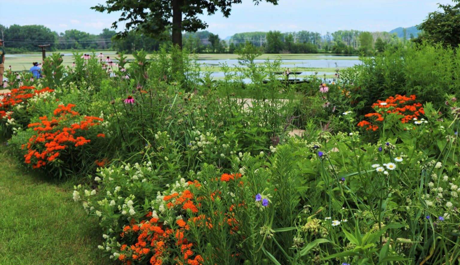 Visitor Experience - The Nature Place