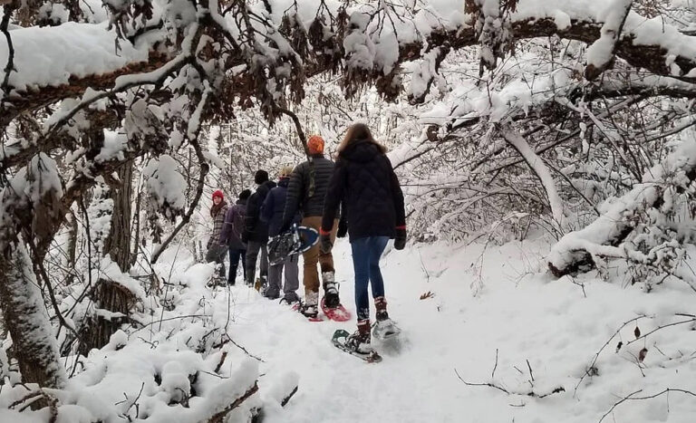 Visitor Experience - The Nature Place