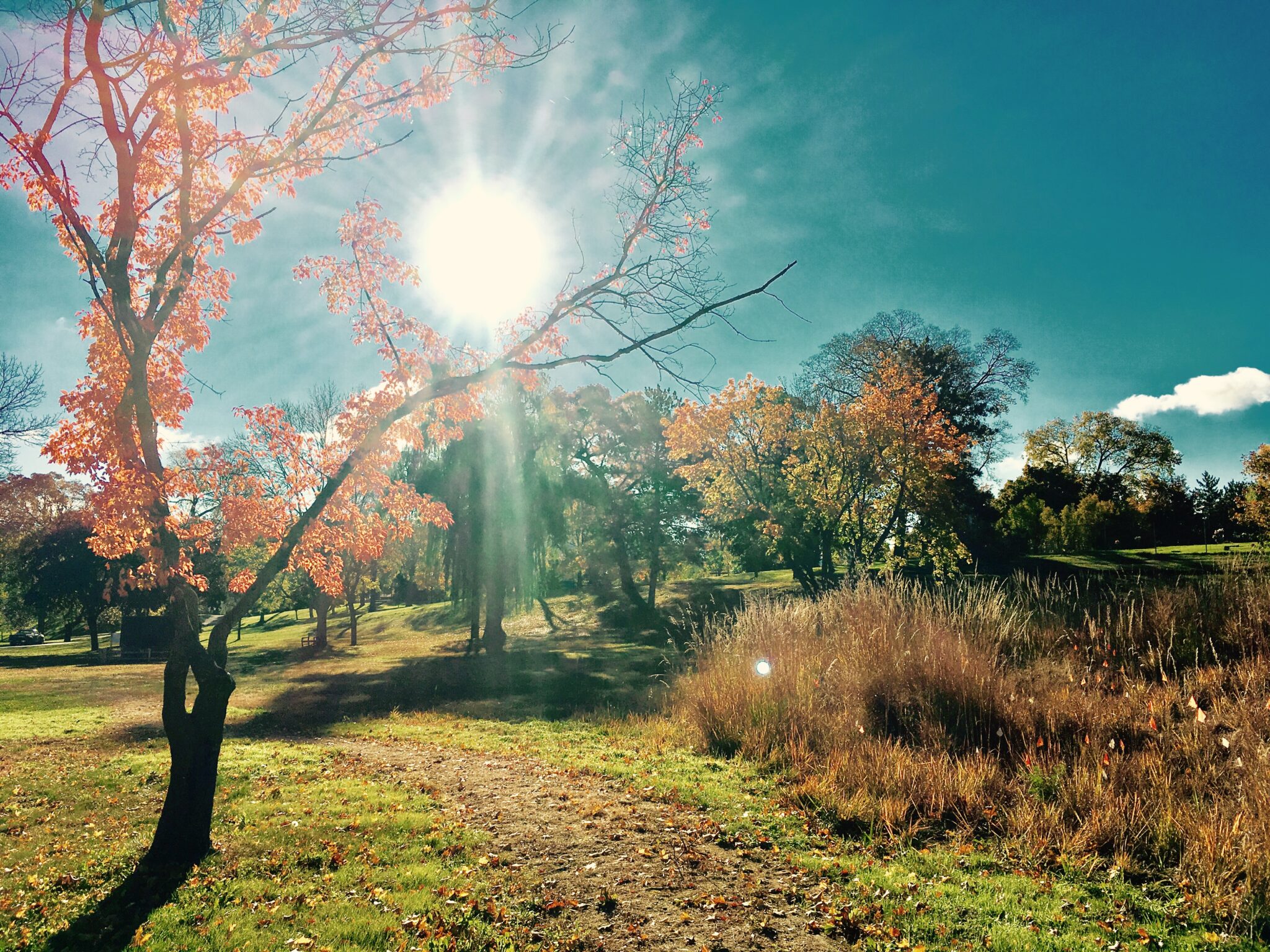 Visitor Experience - The Nature Place